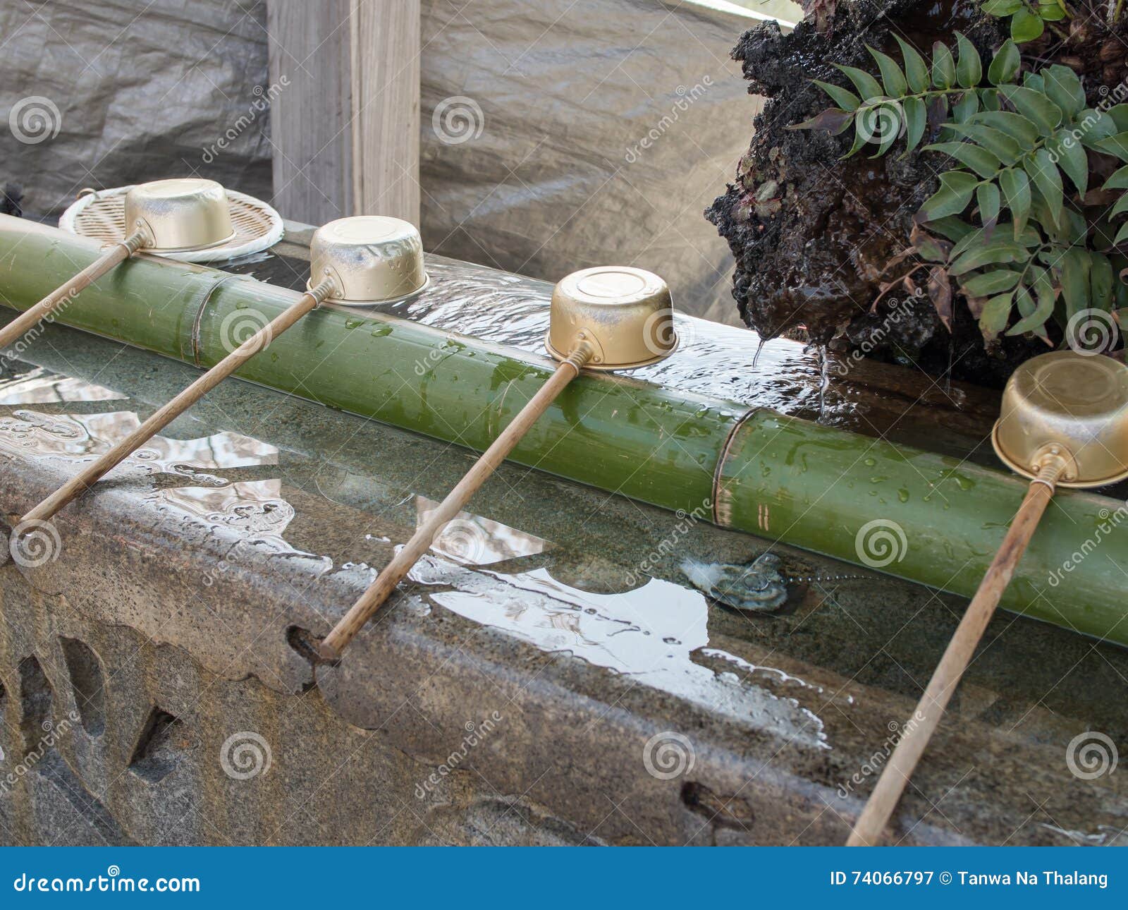 Water Dippers, Japanese Style Stock Image - Image of culture, japanese ...