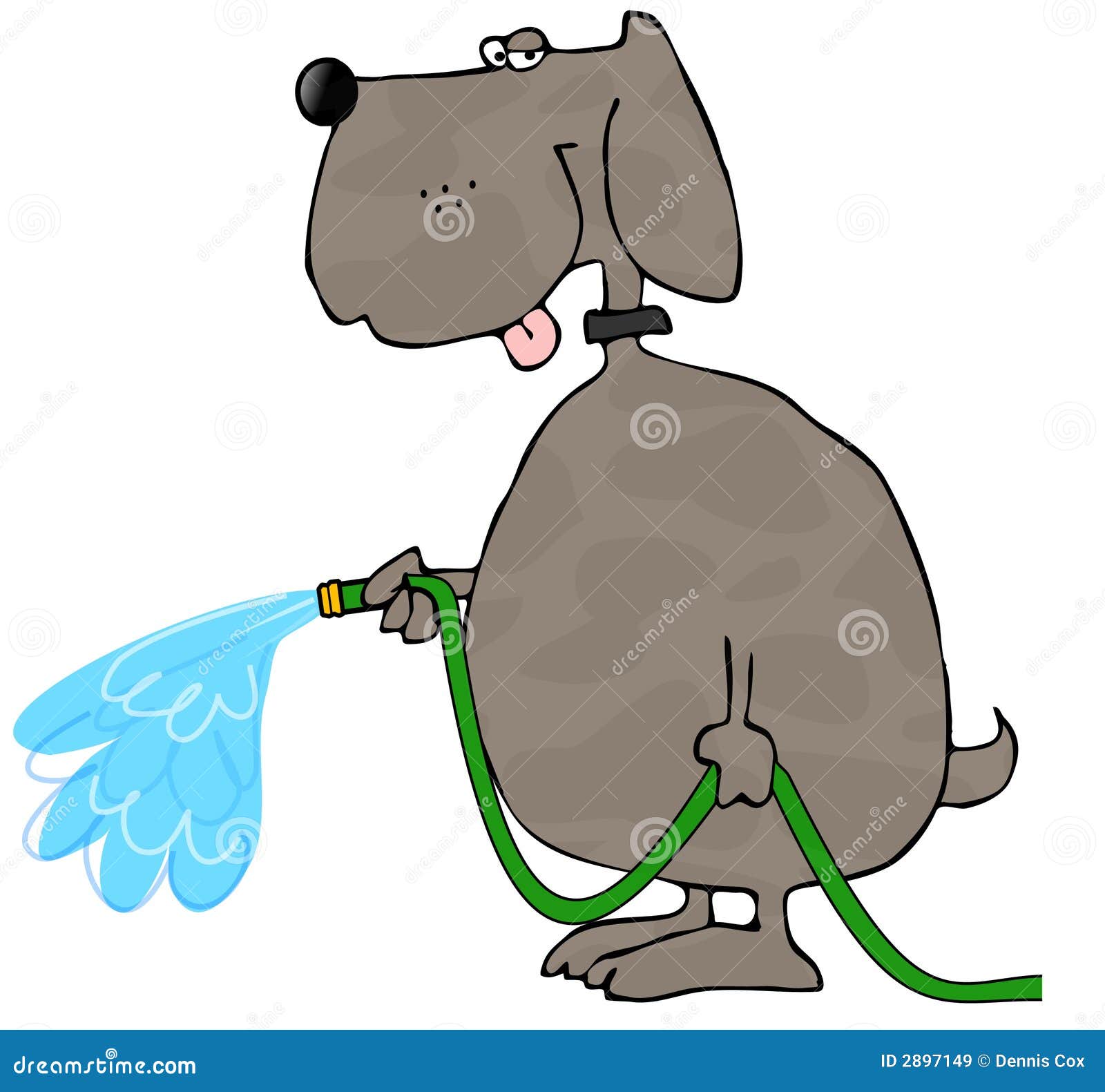 Water Dog stock illustration. Illustration of animal, canine - 2897149