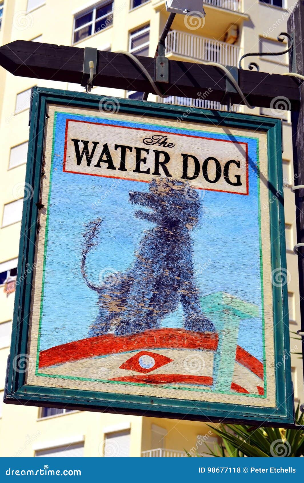 The Water Dog pub sign editorial stock photo. Image of beach - 98677118