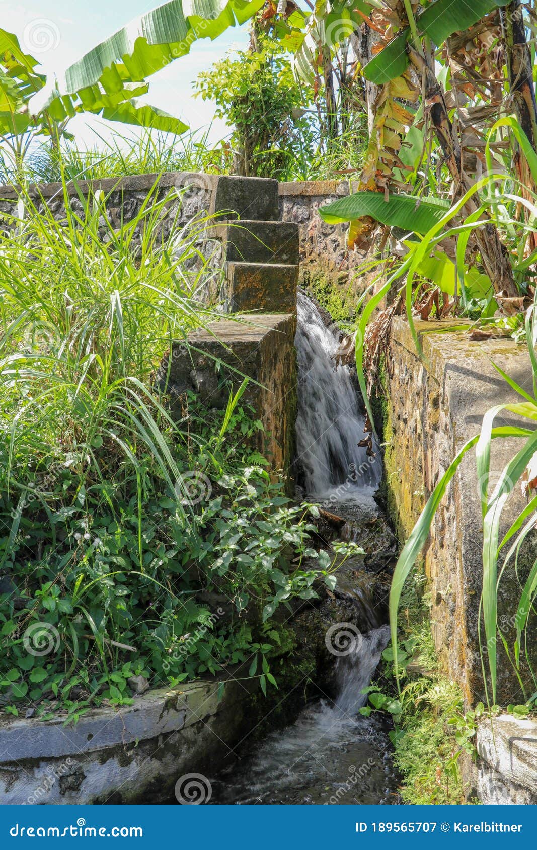Water Drainage for Irrigation of Rice Fields Stock Image - Image of ...