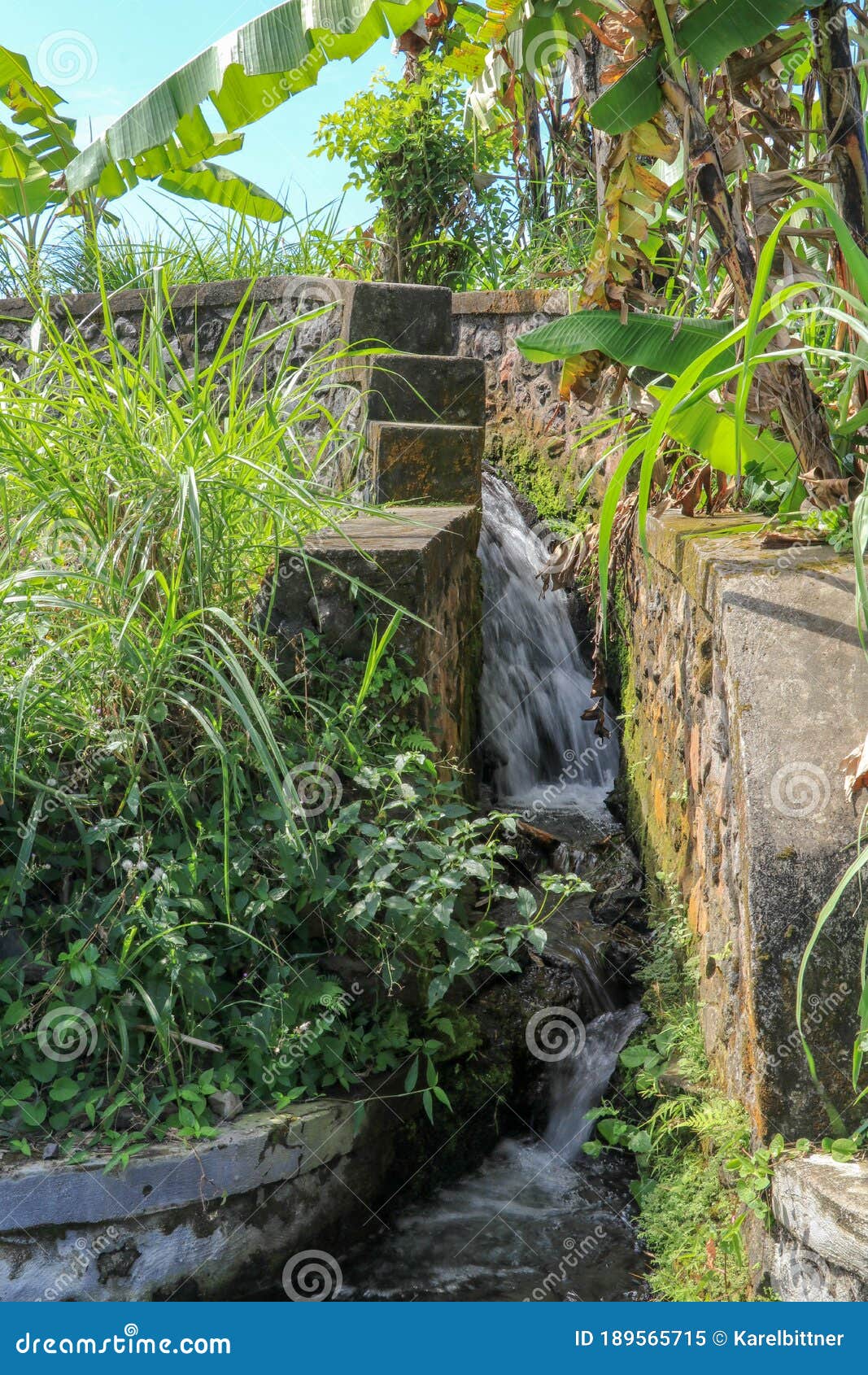 Water Drainage for Irrigation of Rice Fields Stock Image - Image of ...