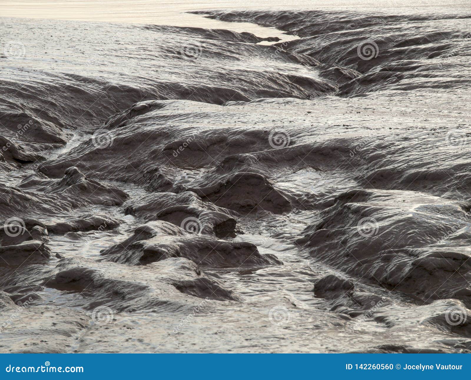 Water drenched mud flats stock photo. Image of blue - 142260560