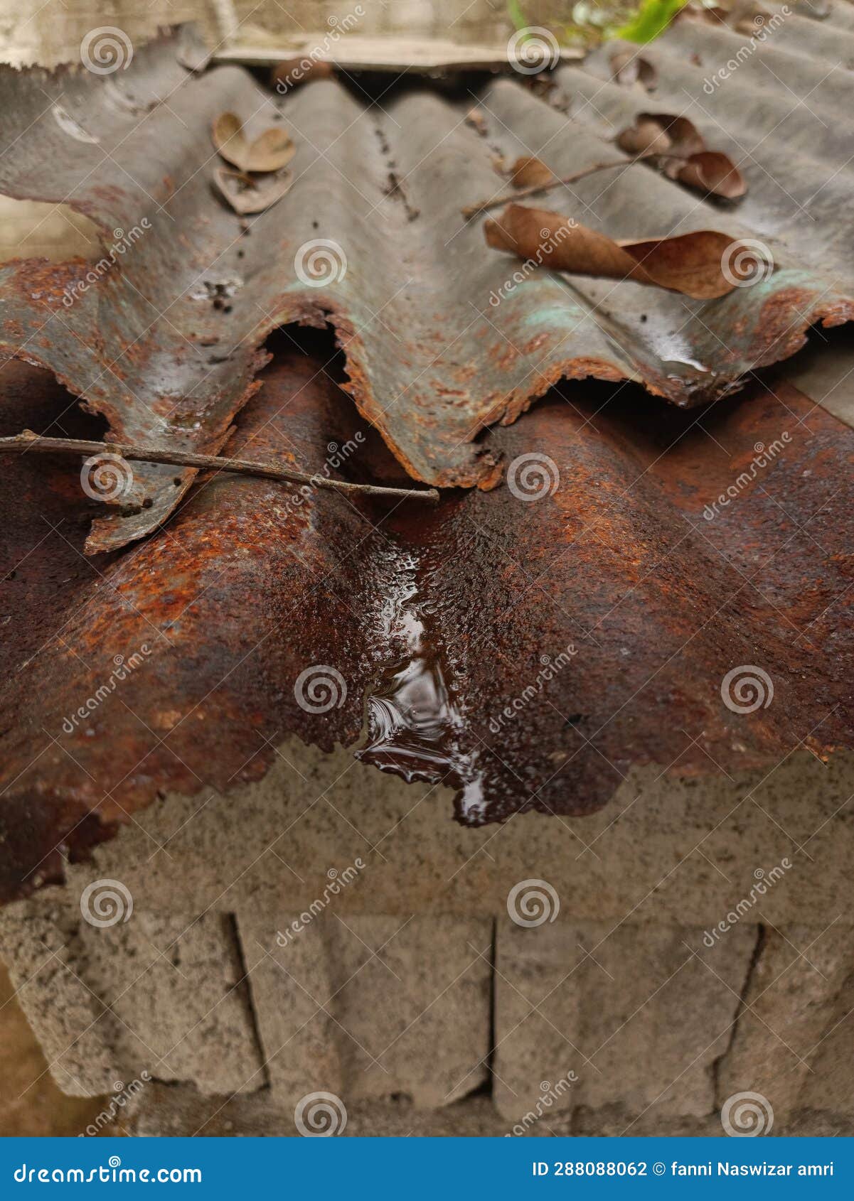Water and Dried Leaves on the Rasted Rooftop Stock Photo - Image of ...