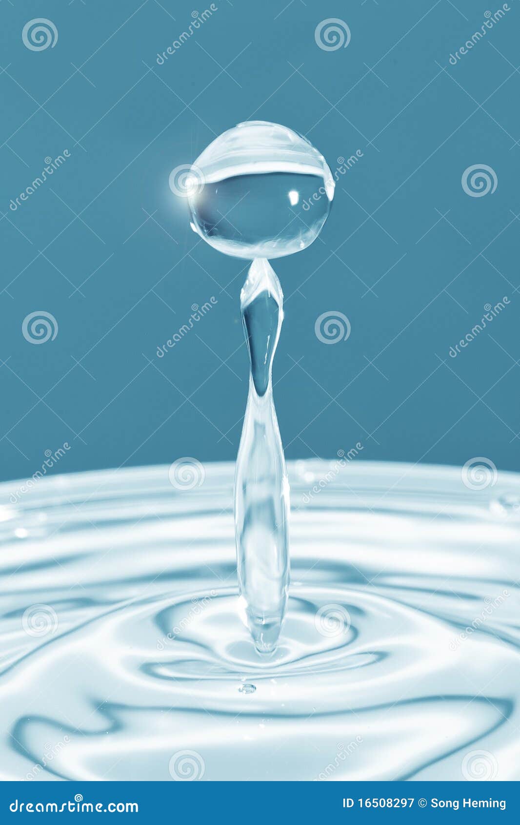 Water Drip From Plant Stock Photography | CartoonDealer.com #40854404