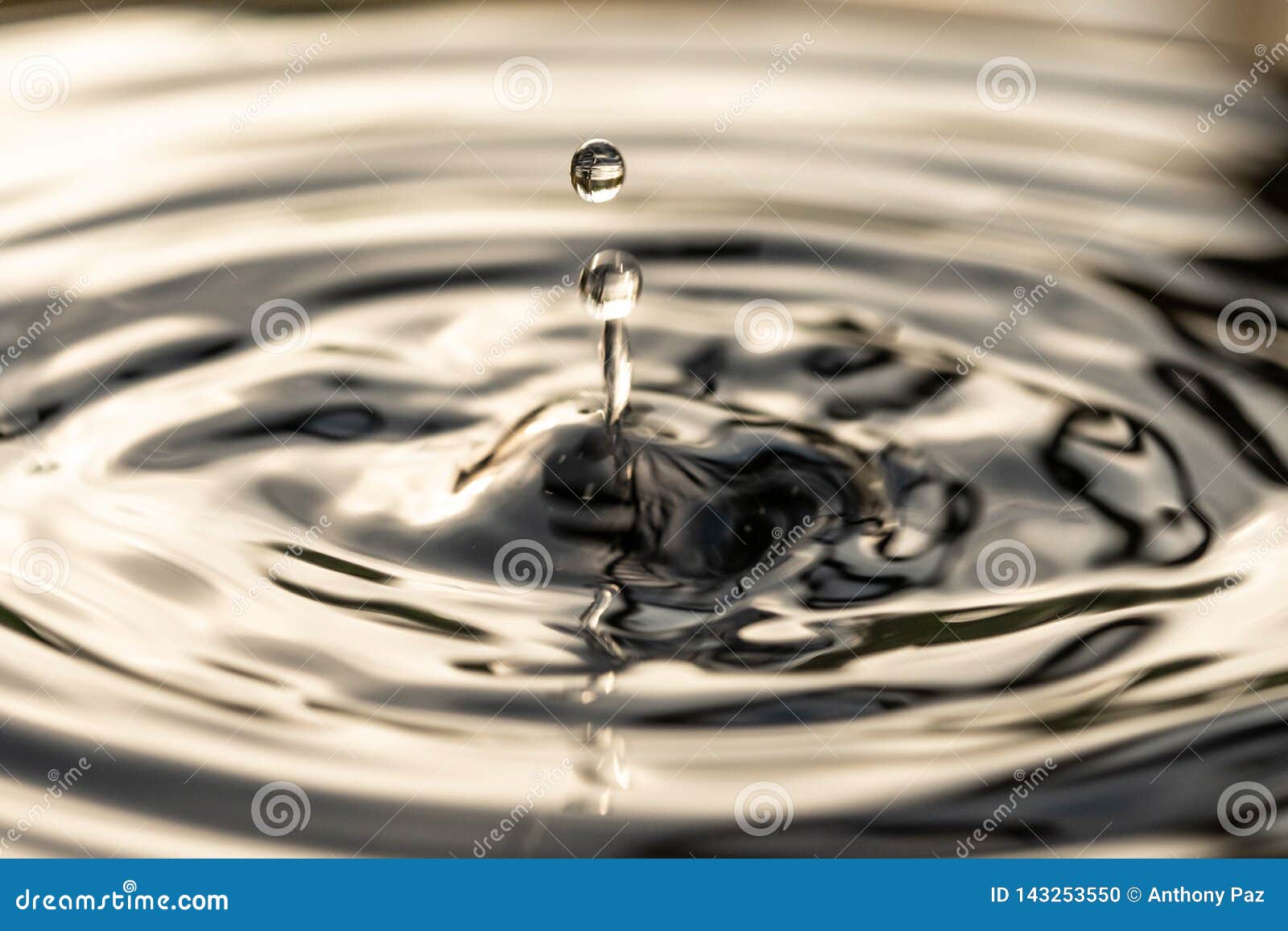 Water drip close macro stock photo. Image of motion - 143253550