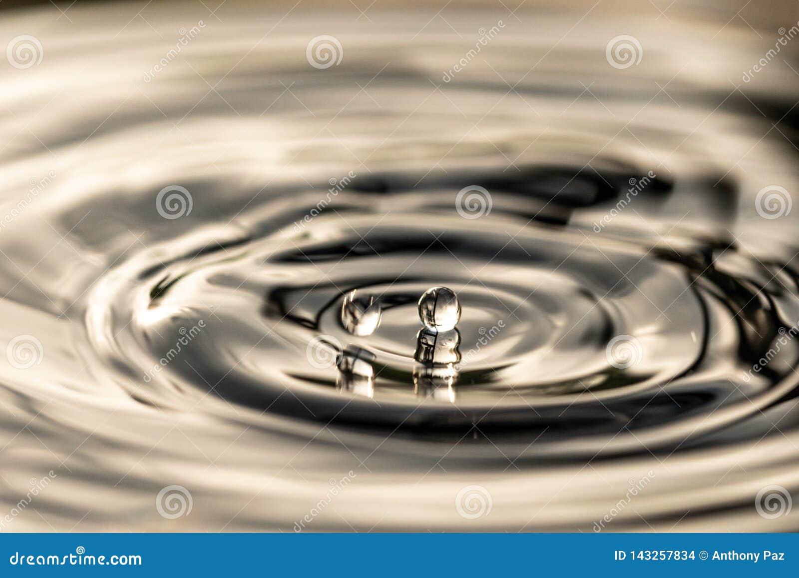 Water drip close macro stock photo. Image of environment - 143257834