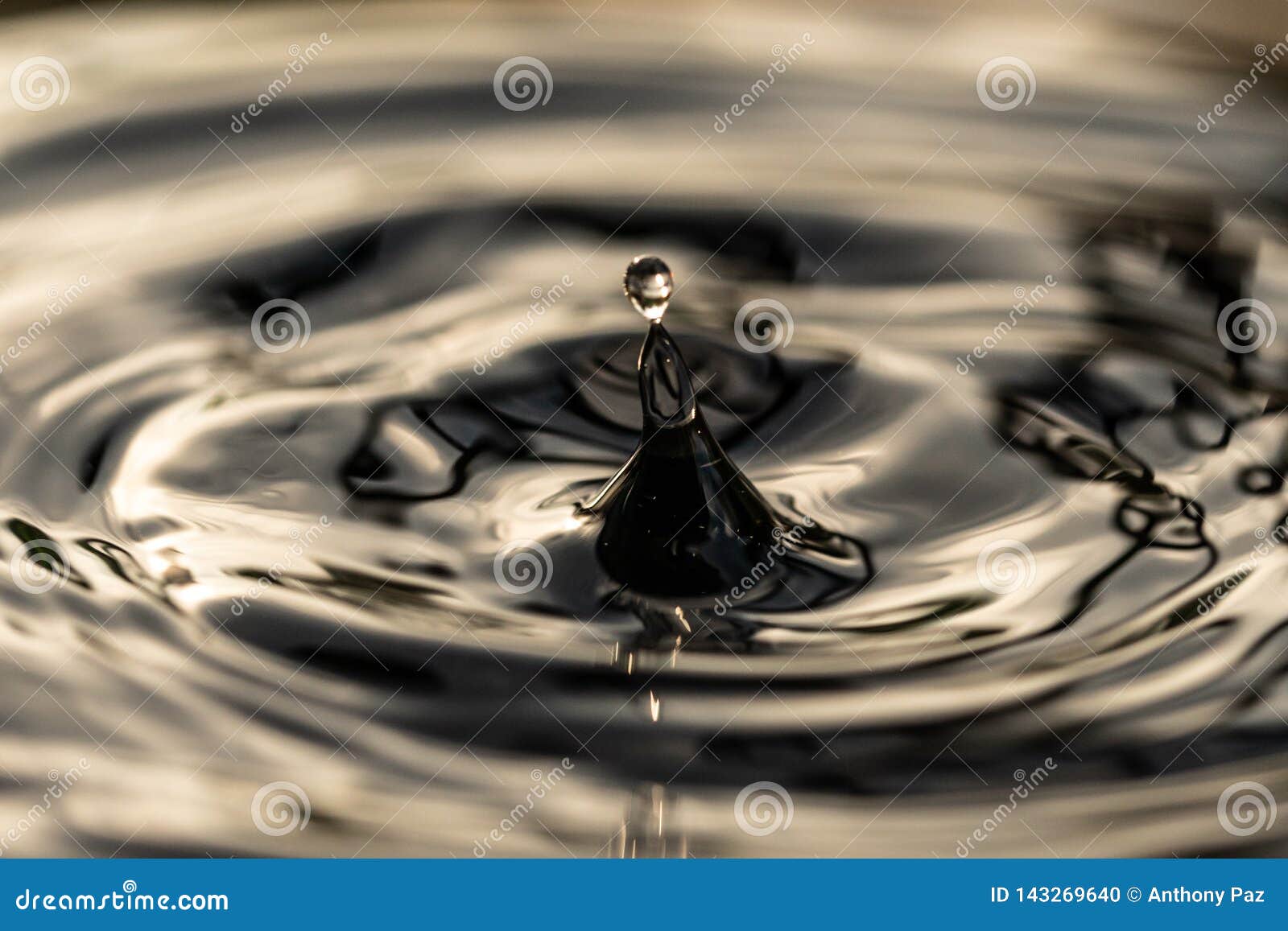 Water drip close macro stock photo. Image of purple - 143269640