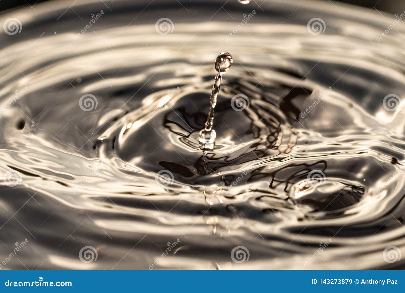 Water drip close macro stock image. Image of purple - 143273879