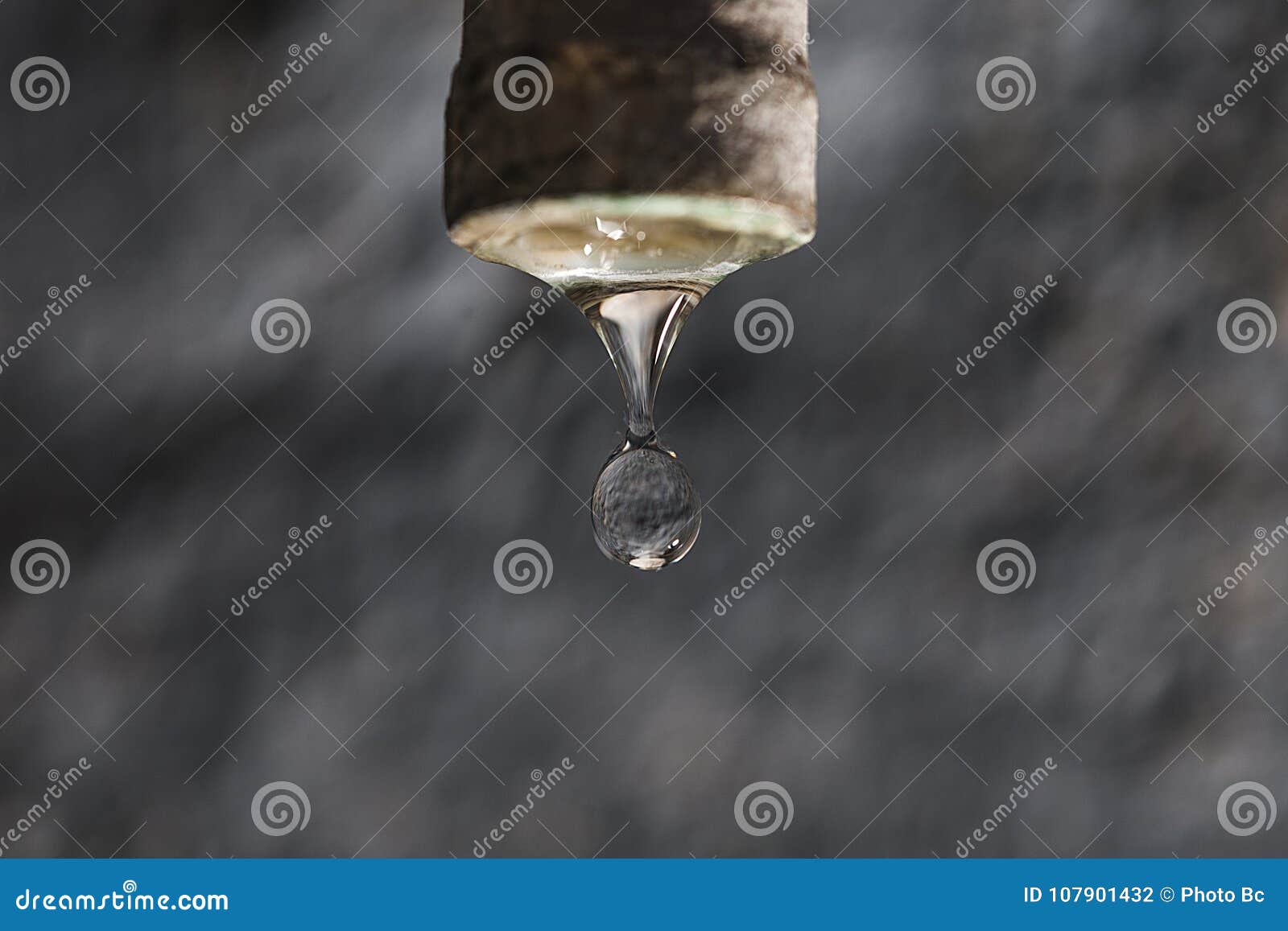 Water drip stock photo. Image of beautiful, splashing - 107901432