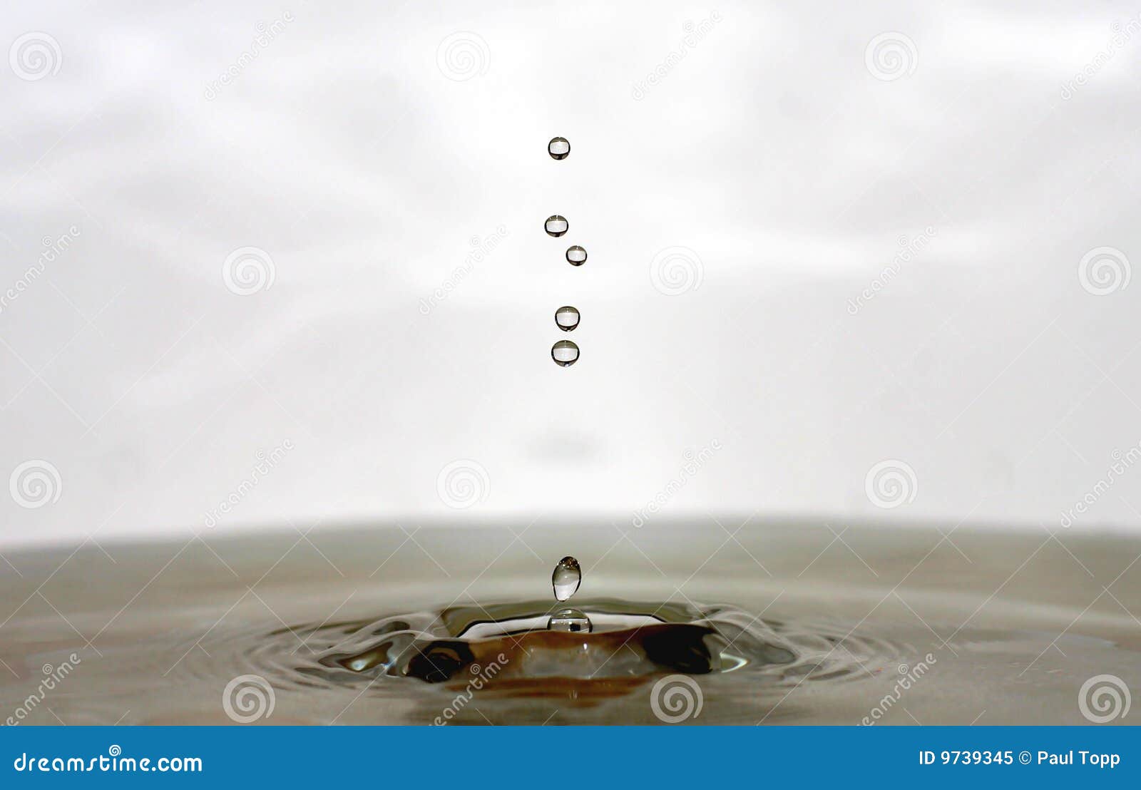 Water Drip Drops stock image. Image of drip, purity, drink - 9739345