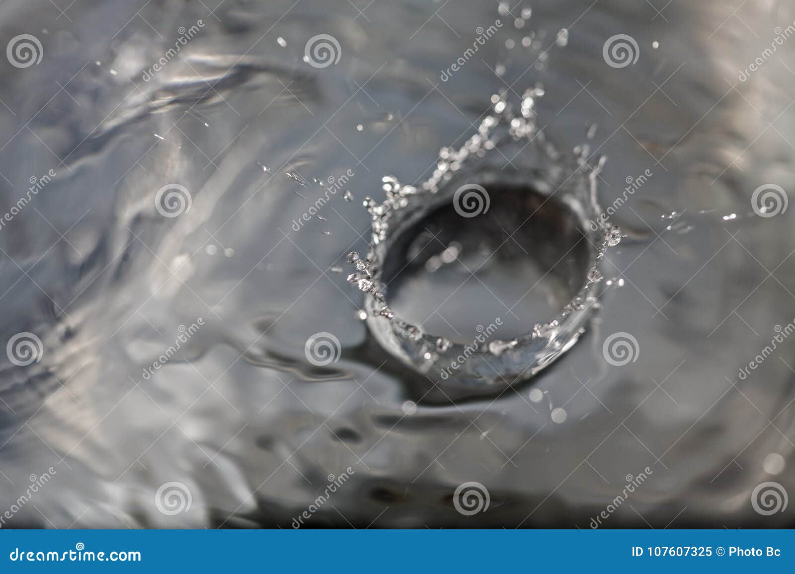 Water drip stock image. Image of black, beautiful, droplet - 107607325