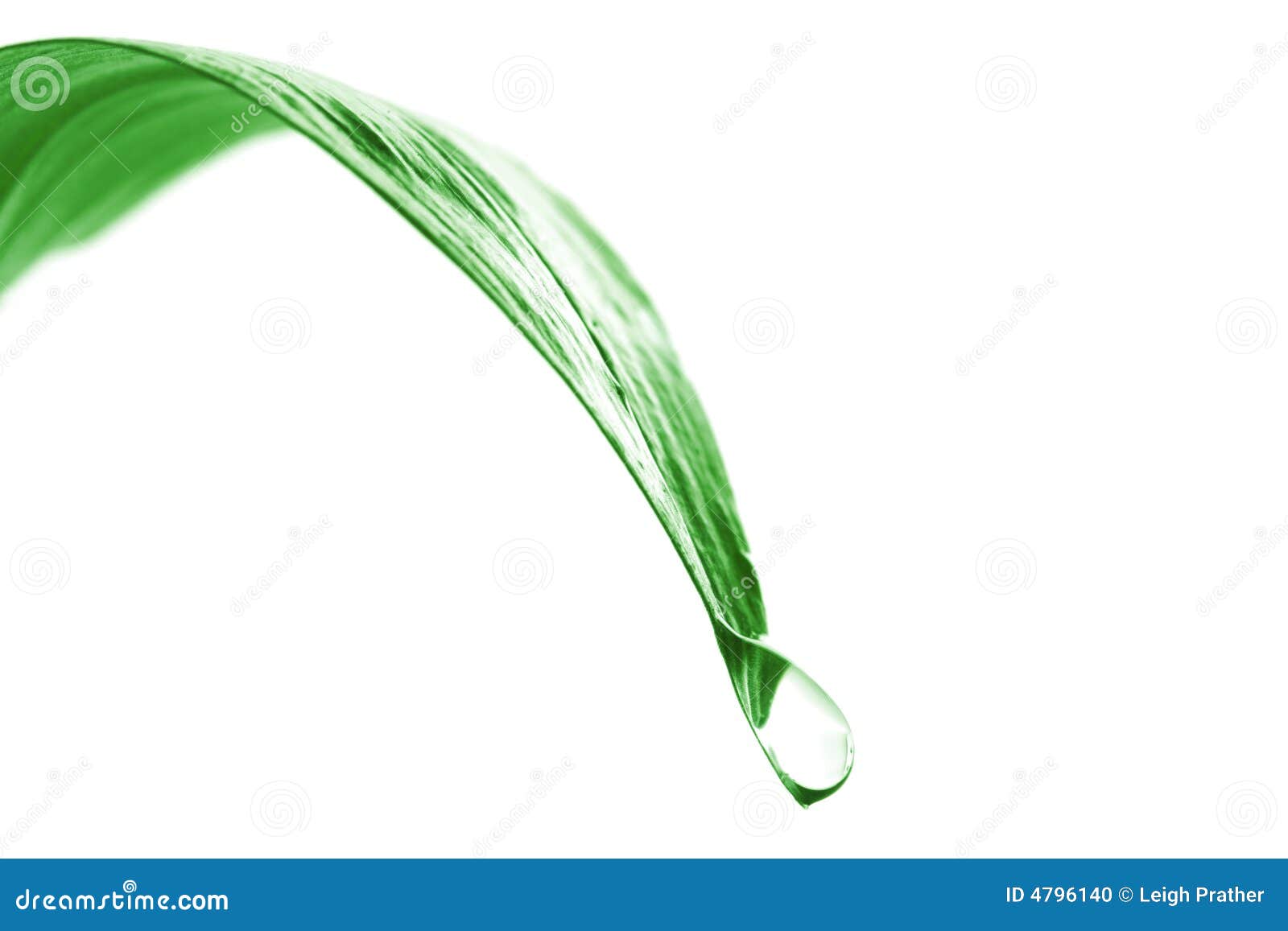 Water dripping stock photo. Image of rejuvenate, balance - 4796140