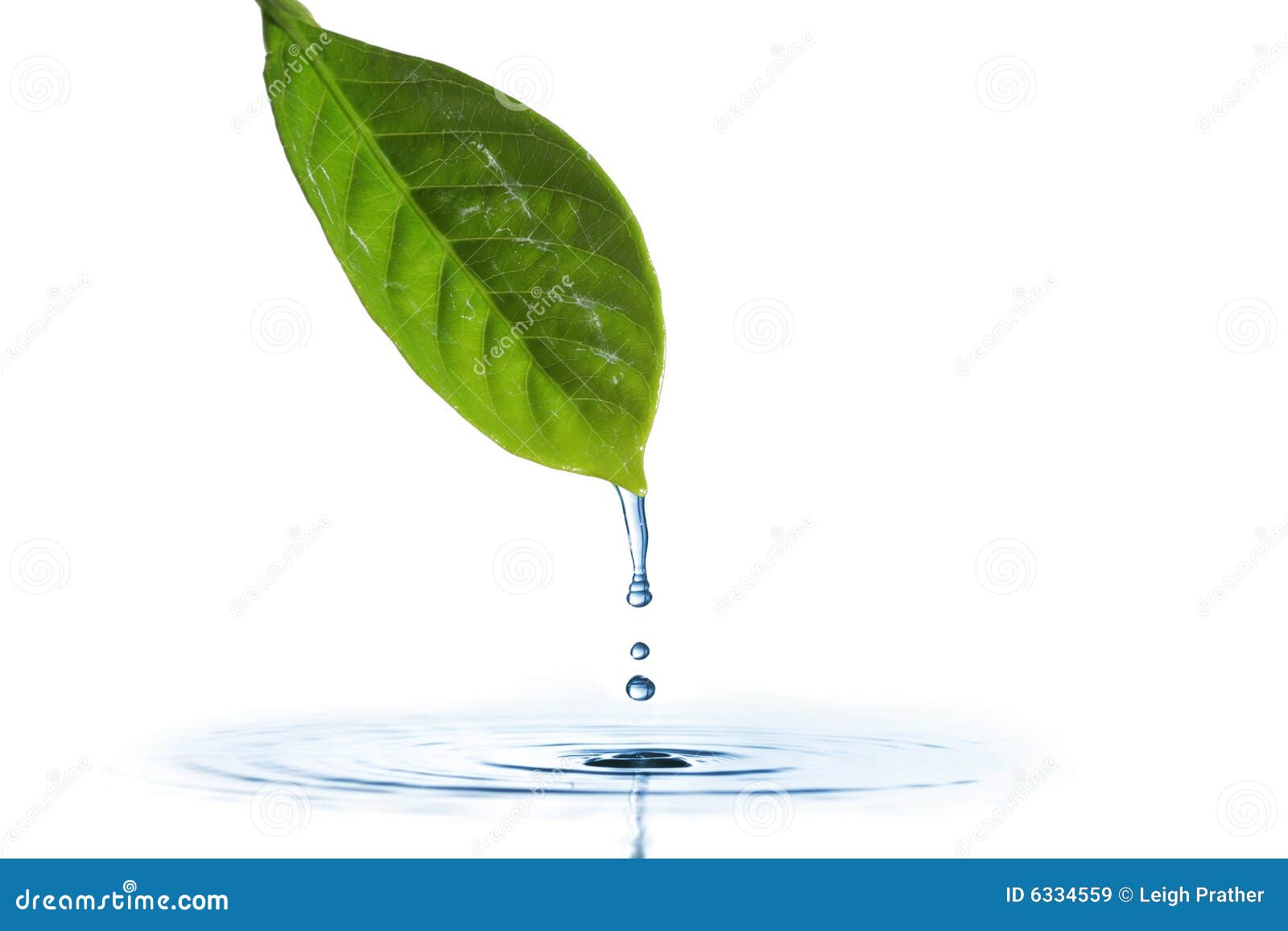 Water dripping stock image. Image of drip, backgrounds - 6334559