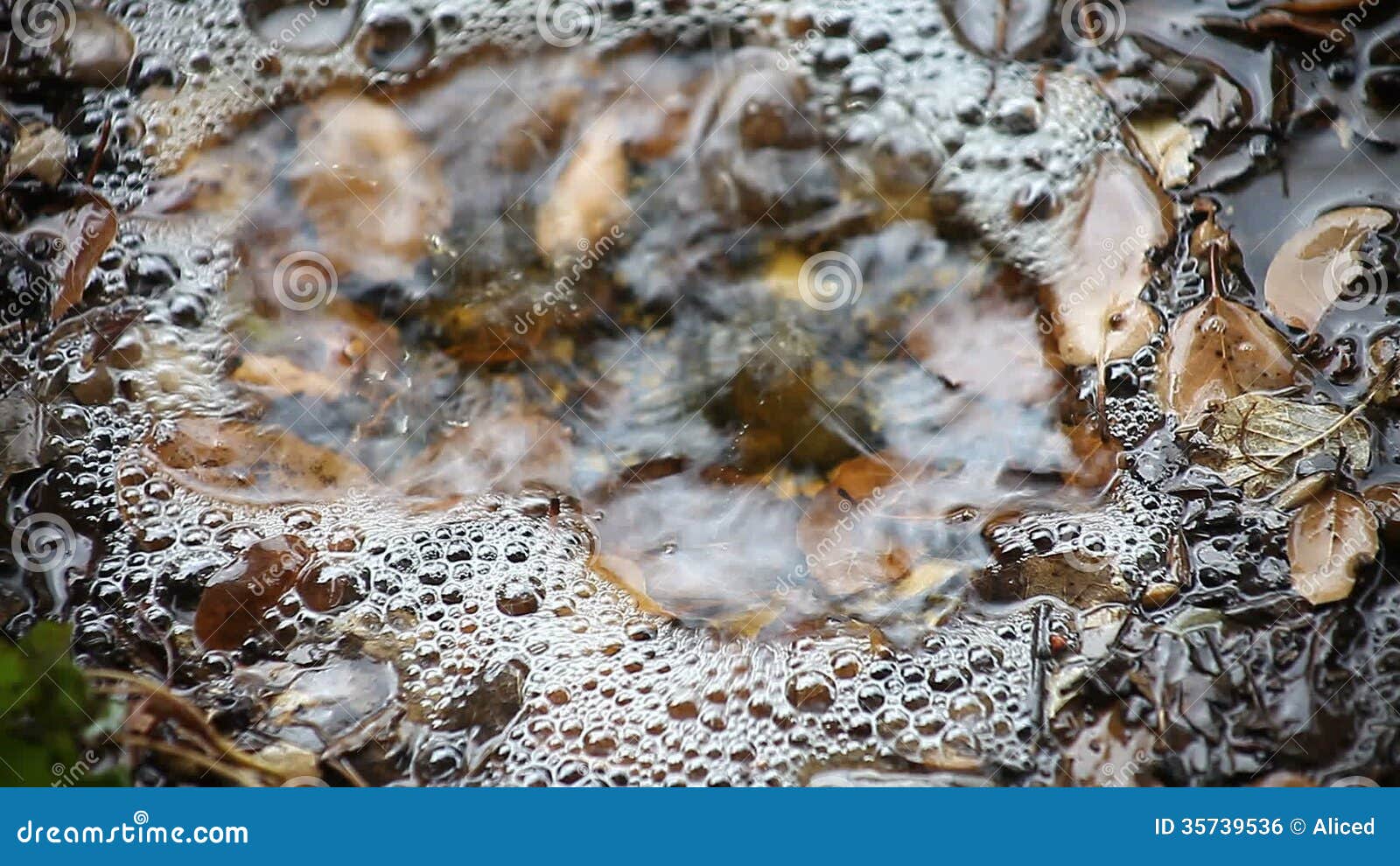 Water Dripping into a Puddle Stock Video Footage - Video of nature ...