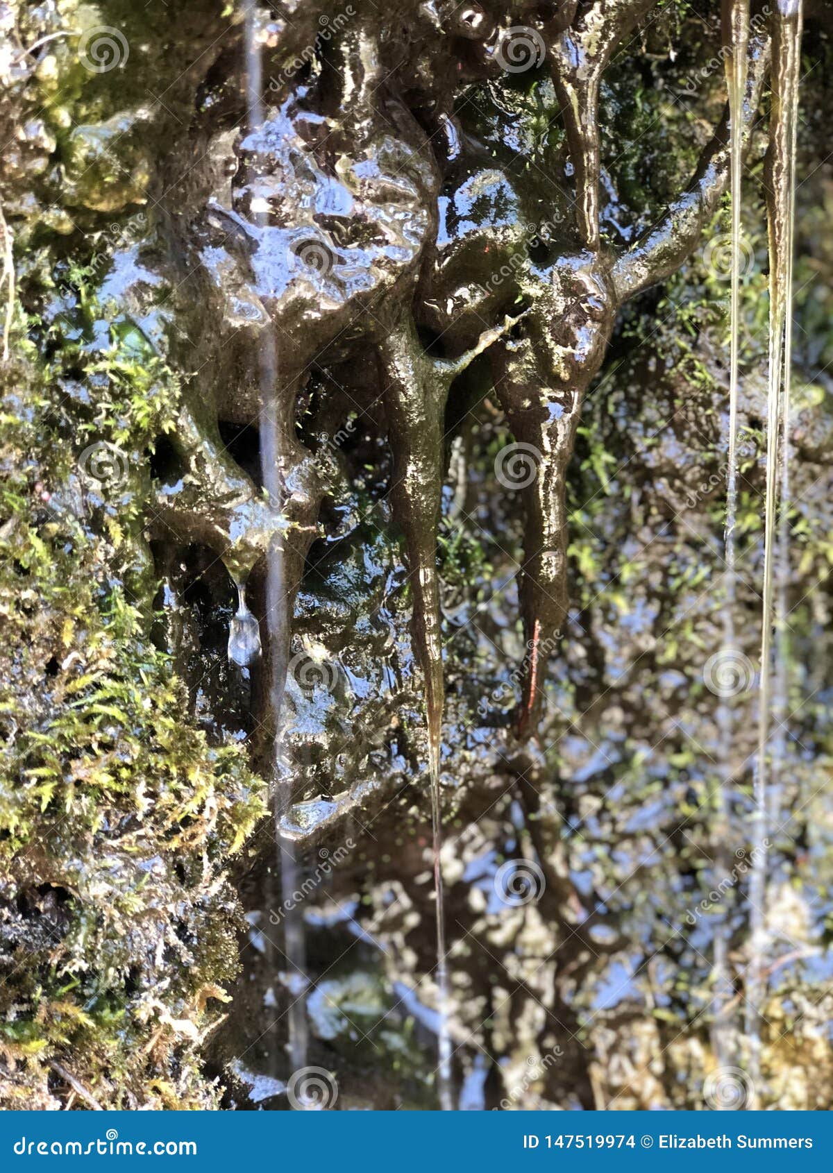 Cavern drip stock photo. Image of rock, drip, water - 147519974