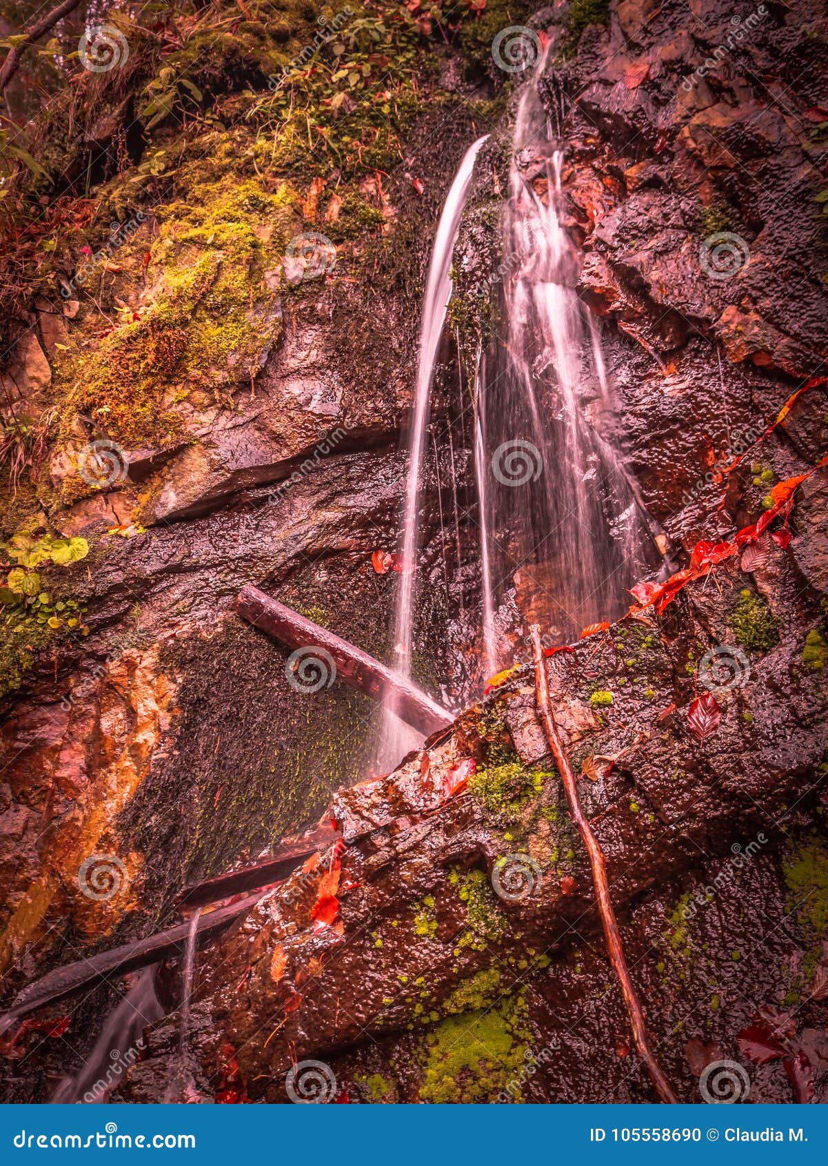 Water Dripping on a Rock Wall in the Forest Stock Photo - Image of rock ...