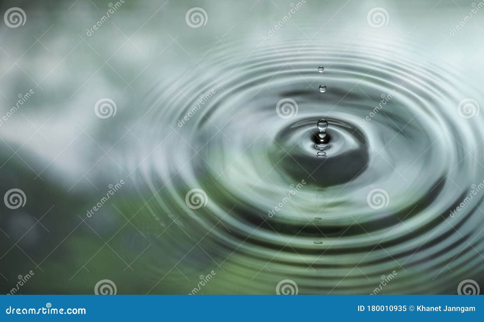 Water is Dripping on the Surface of the Water in the Rainforest. with ...