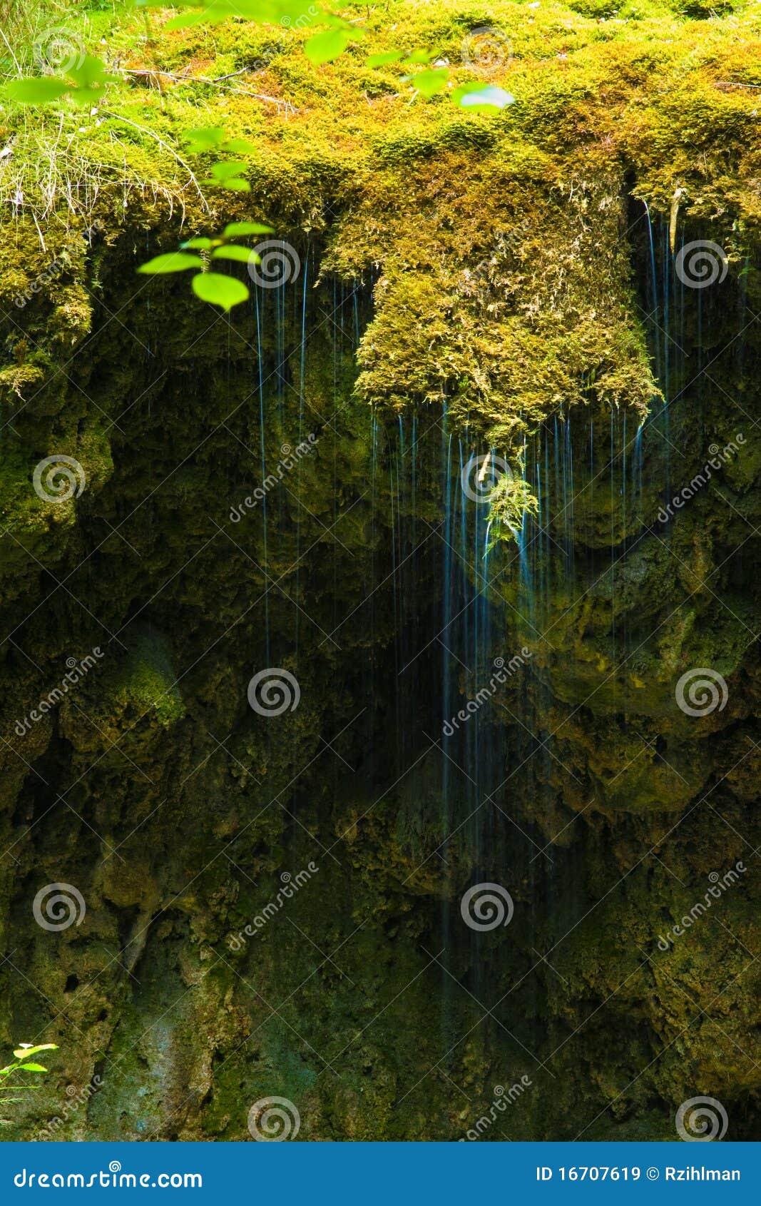 Water drips from moss. stock image. Image of moss, stream - 16707619