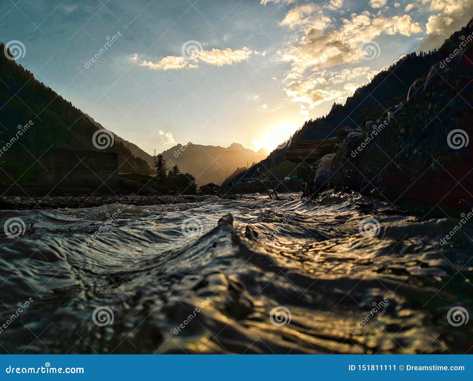 Water is the Driving Force of All Nature Stock Image - Image of forest ...