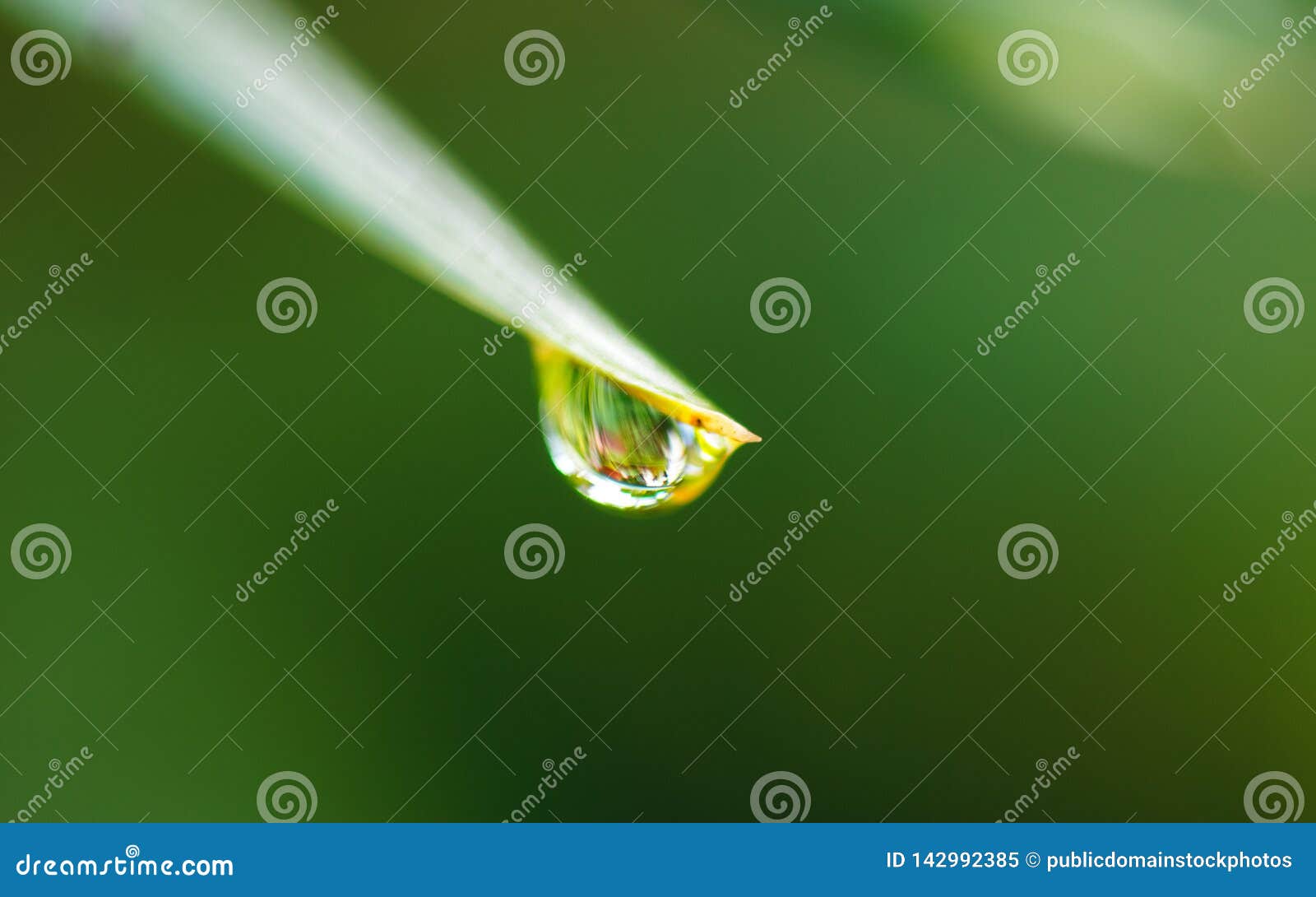 Water Drop Picture. Image: 142992385