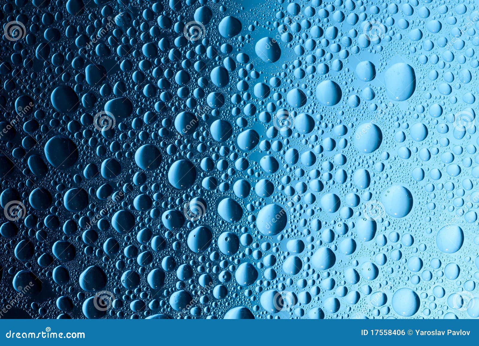 Water drop stock photo. Image of rain, fresh, macro, water - 17558406