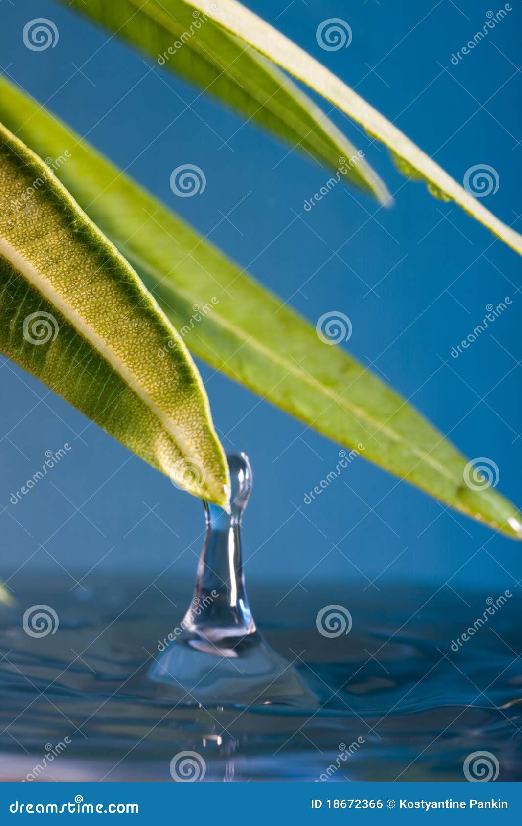 Water drop stock photo. Image of liquid, freshness, falling - 18672366