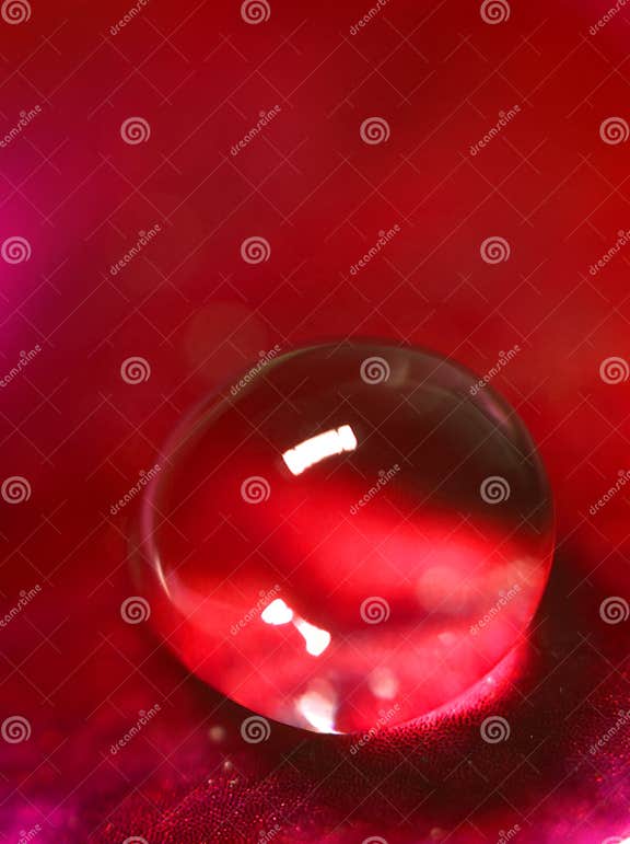 Water Drop stock image. Image of nature, drip, flower - 2556863