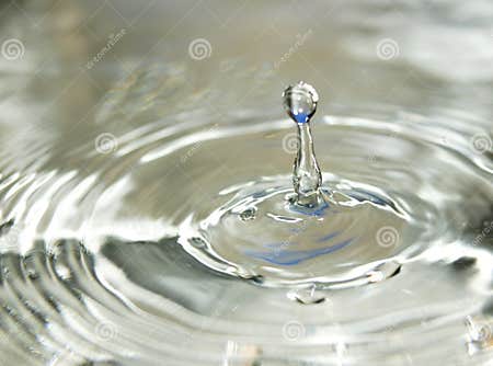 Water Drop stock photo. Image of drop, environment, clear - 5112524