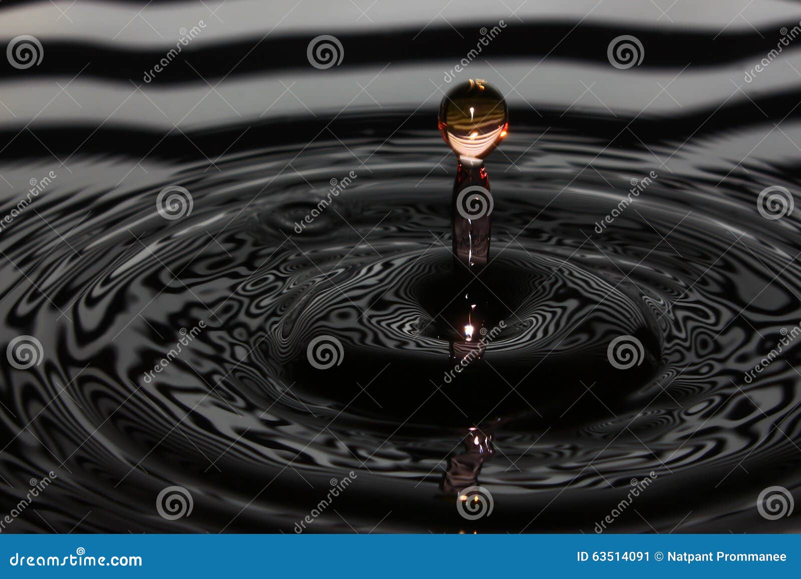 Water Drop stock image. Image of drops, beautiful, motion - 63514091