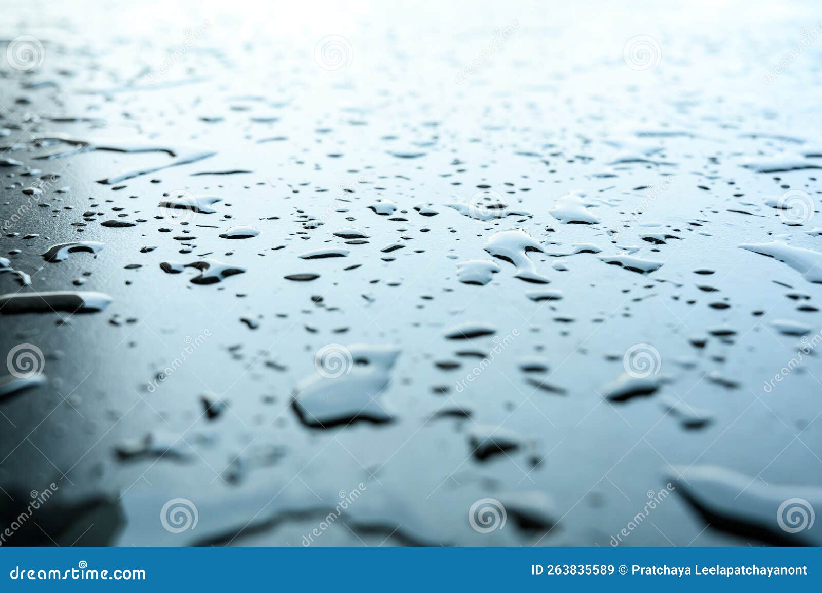 Water Drop on the Black Ceramic Tile Floor after Taking a Bath Stock ...