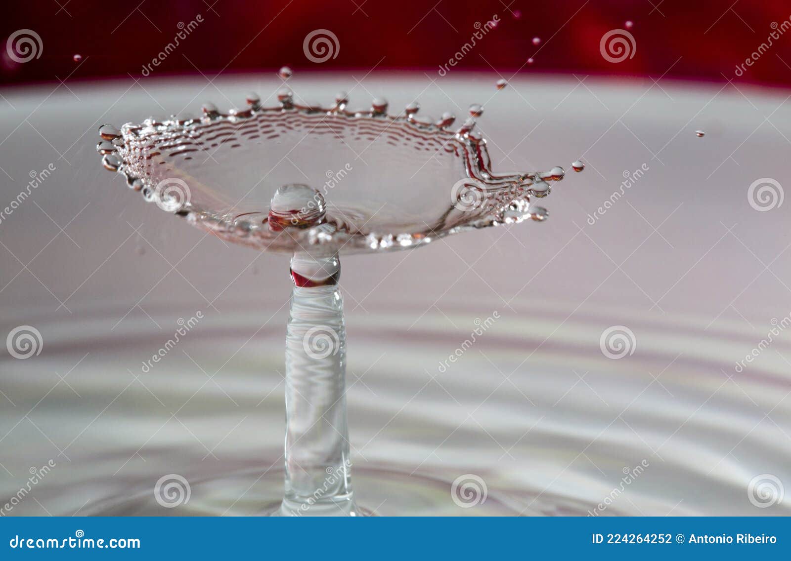 Water Drop Collision Pearl in Shell Stock Photo - Image of falling ...