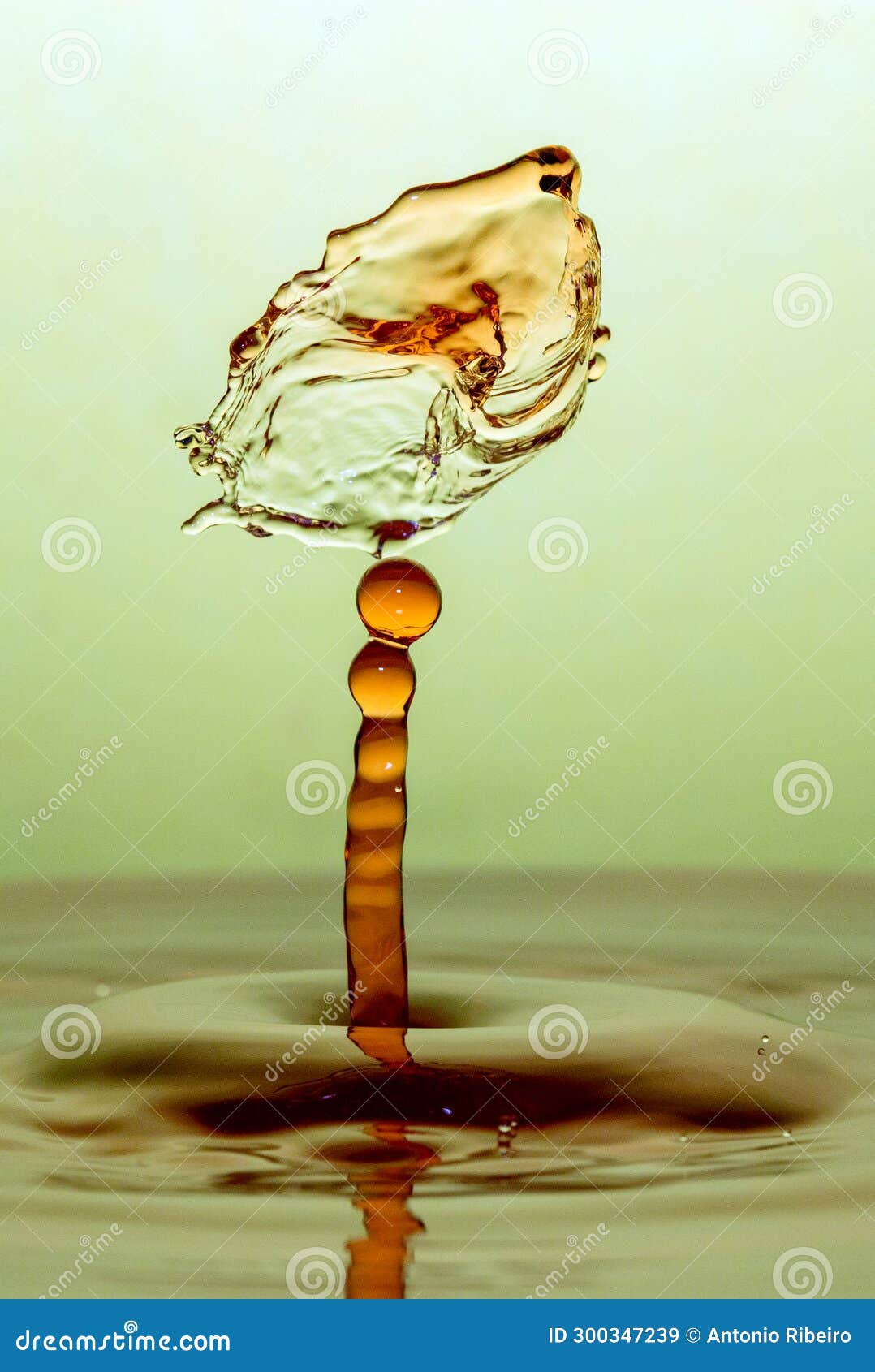 Water Drop Collision stock image. Image of circle, impact - 300347239