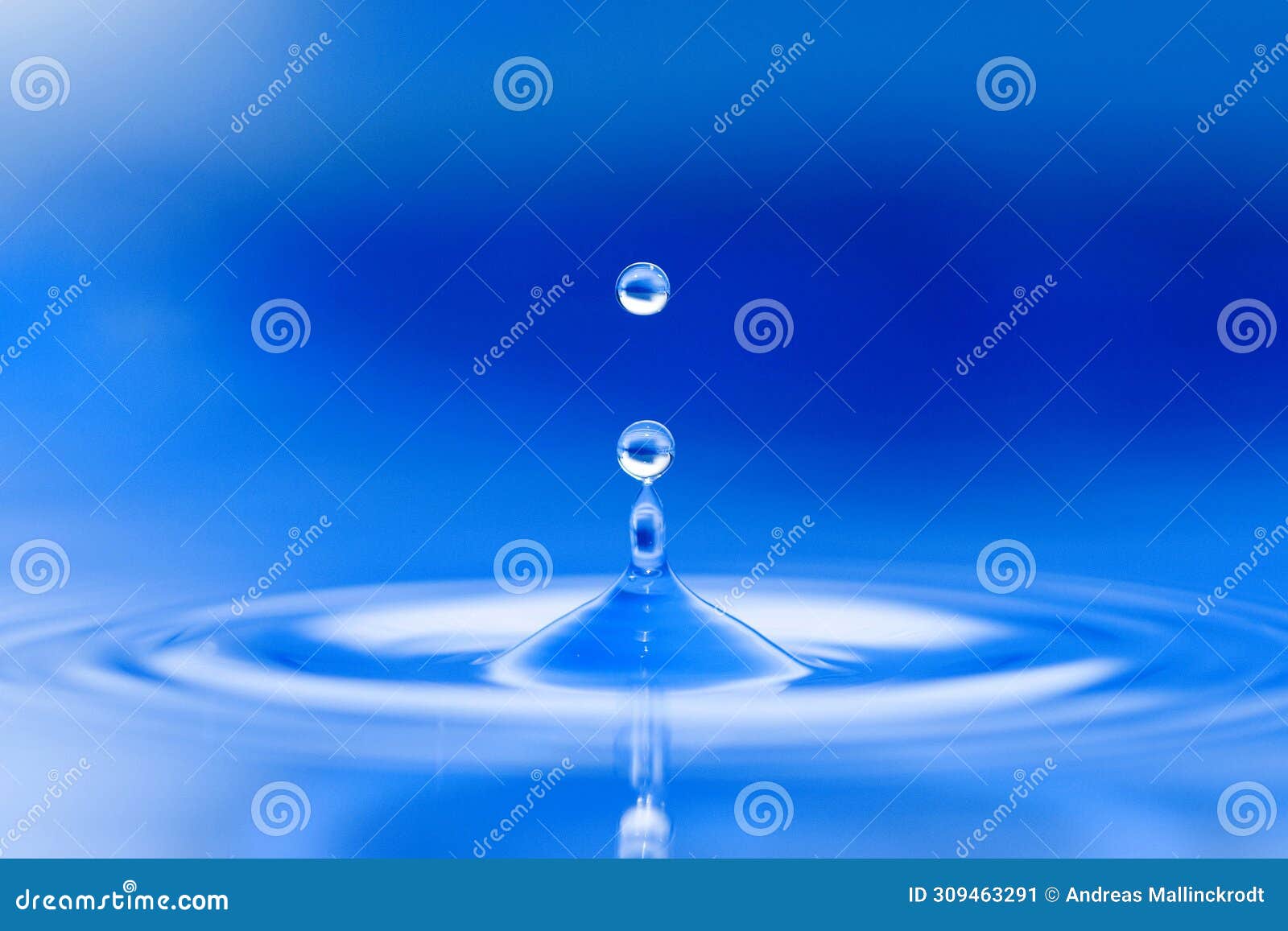 Water Drop Dripping on a Water Surface Stock Illustration ...