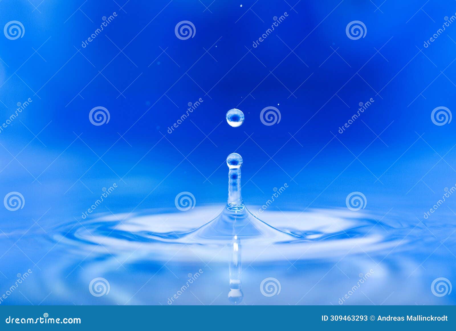 Water Drop Dripping on a Water Surface Stock Illustration ...