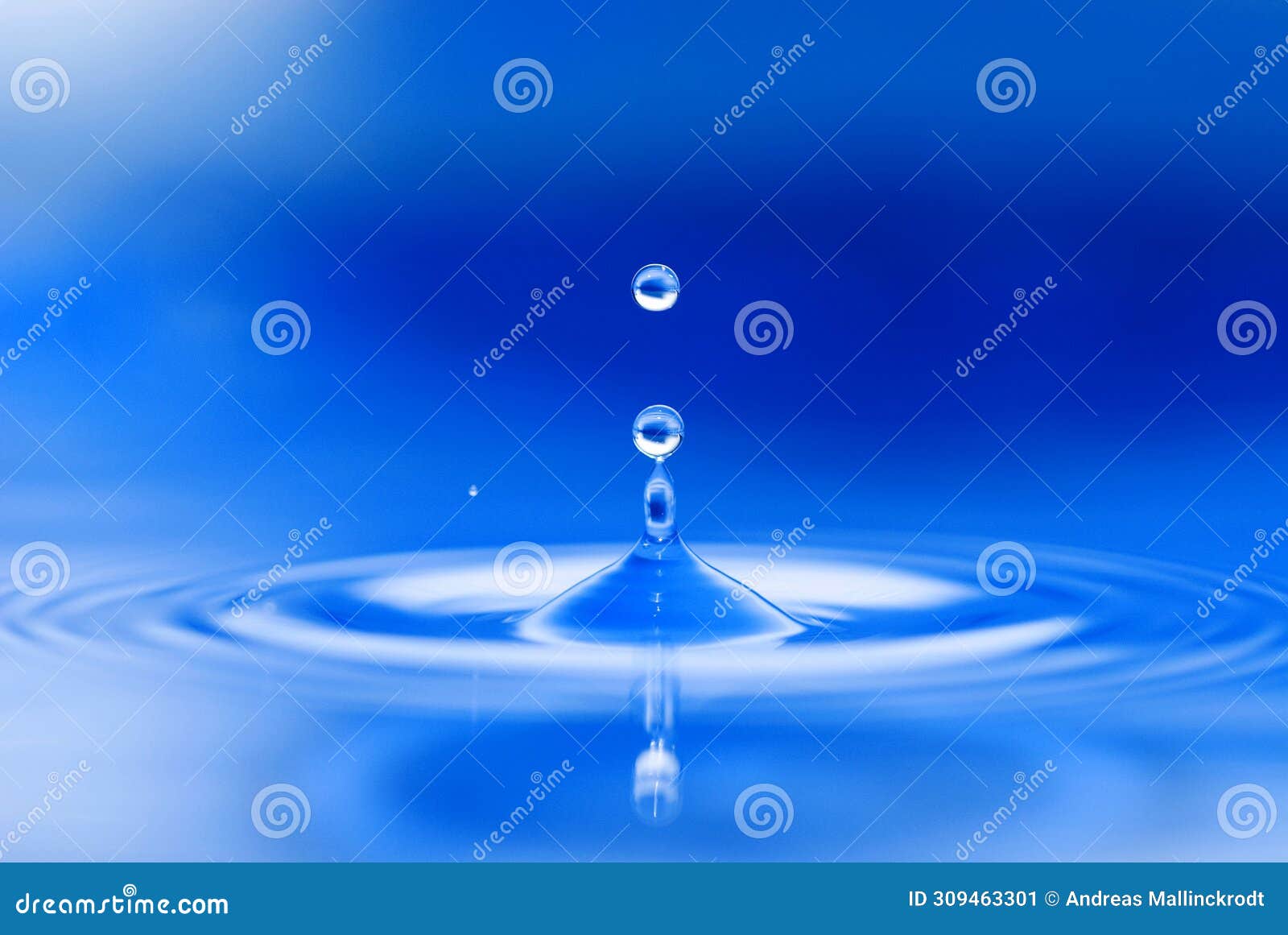 Water Drop Dripping on a Water Surface Stock Illustration ...