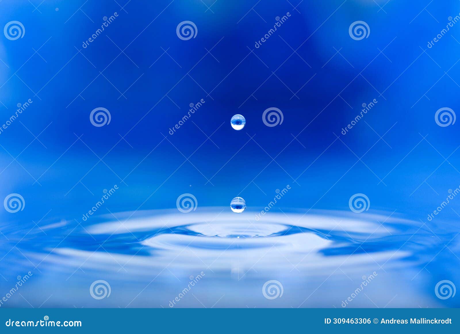 Water Drop Dripping on a Water Surface Stock Illustration ...