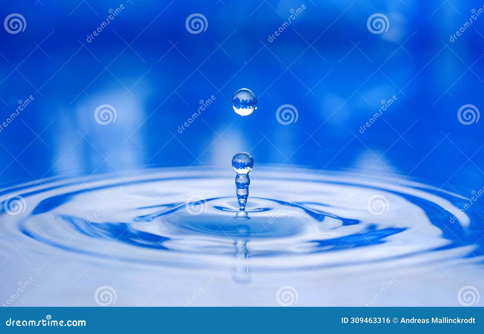 Water Drop Dripping on a Water Surface Stock Photo - Image of ripple ...