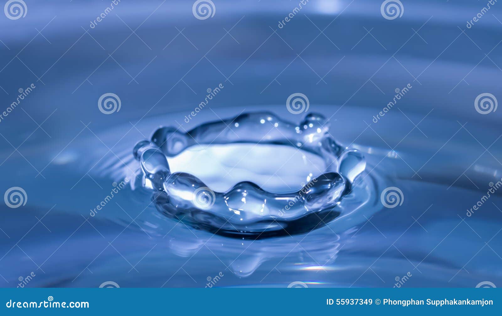 Water Drop stock image. Image of bright, pure, beauty - 55937349