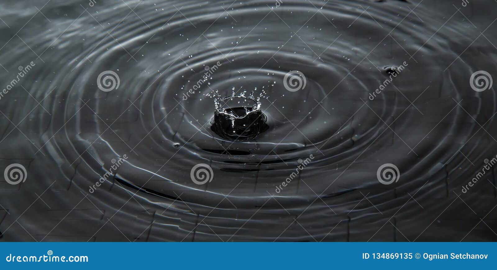 Water Drop Falling into Water Making a Concentric Circles Stock Image ...