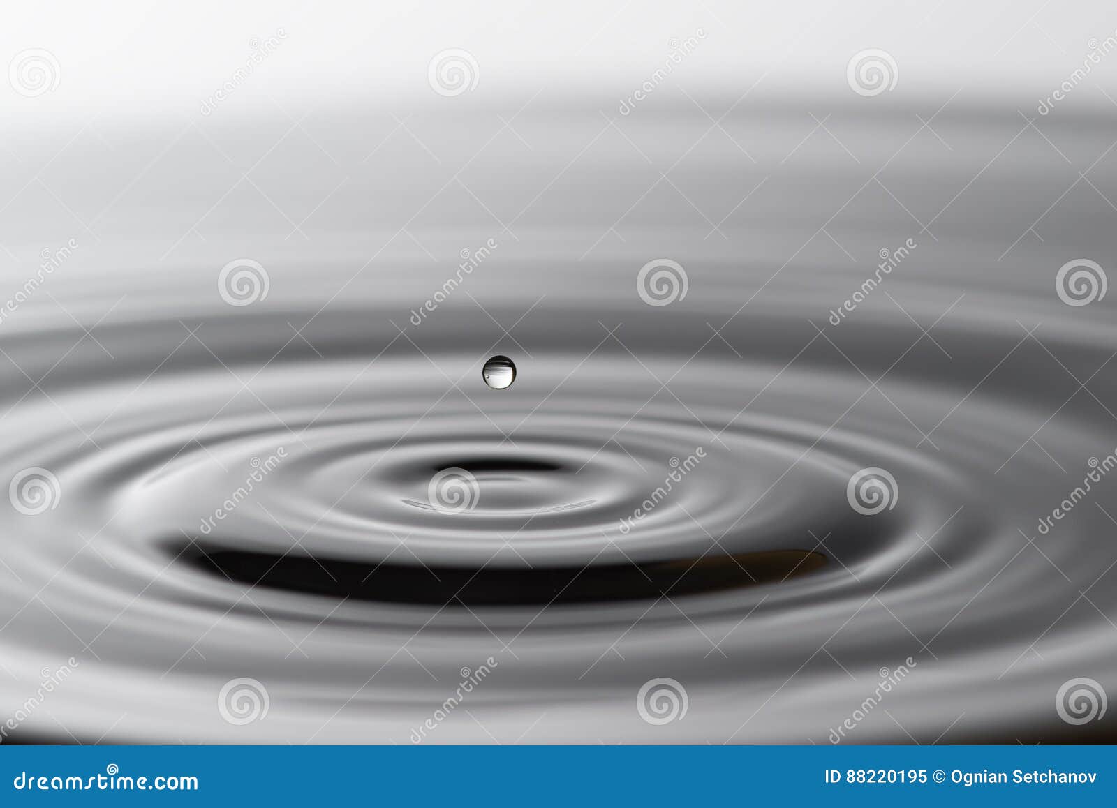 Water Drop Falling into Water Stock Image - Image of nature, moment ...