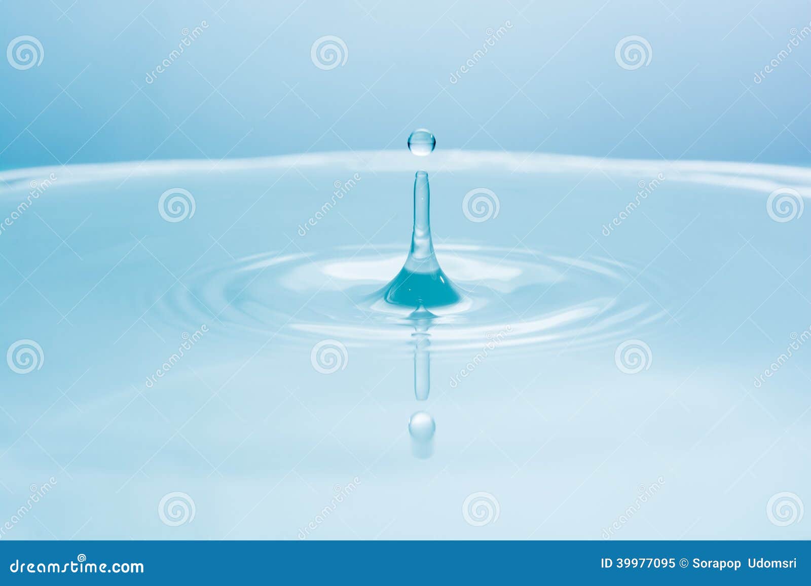 Water Drop Falling into Water Stock Image - Image of isolated, closeup ...