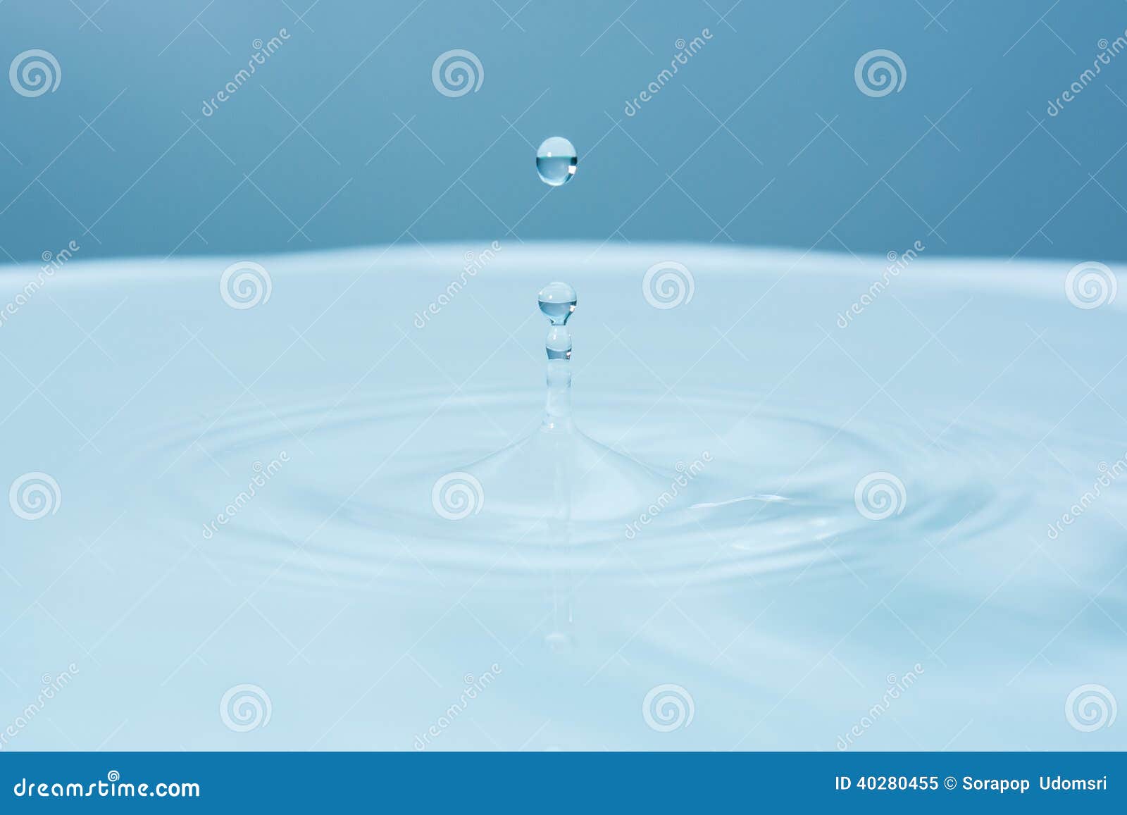 Water Drop Falling into Water Stock Image - Image of isolated, close ...