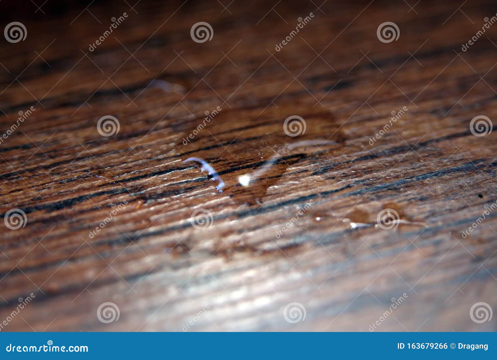 Water Drop on a Floor. Drop on a Wooden Floor Stock Photo - Image of ...