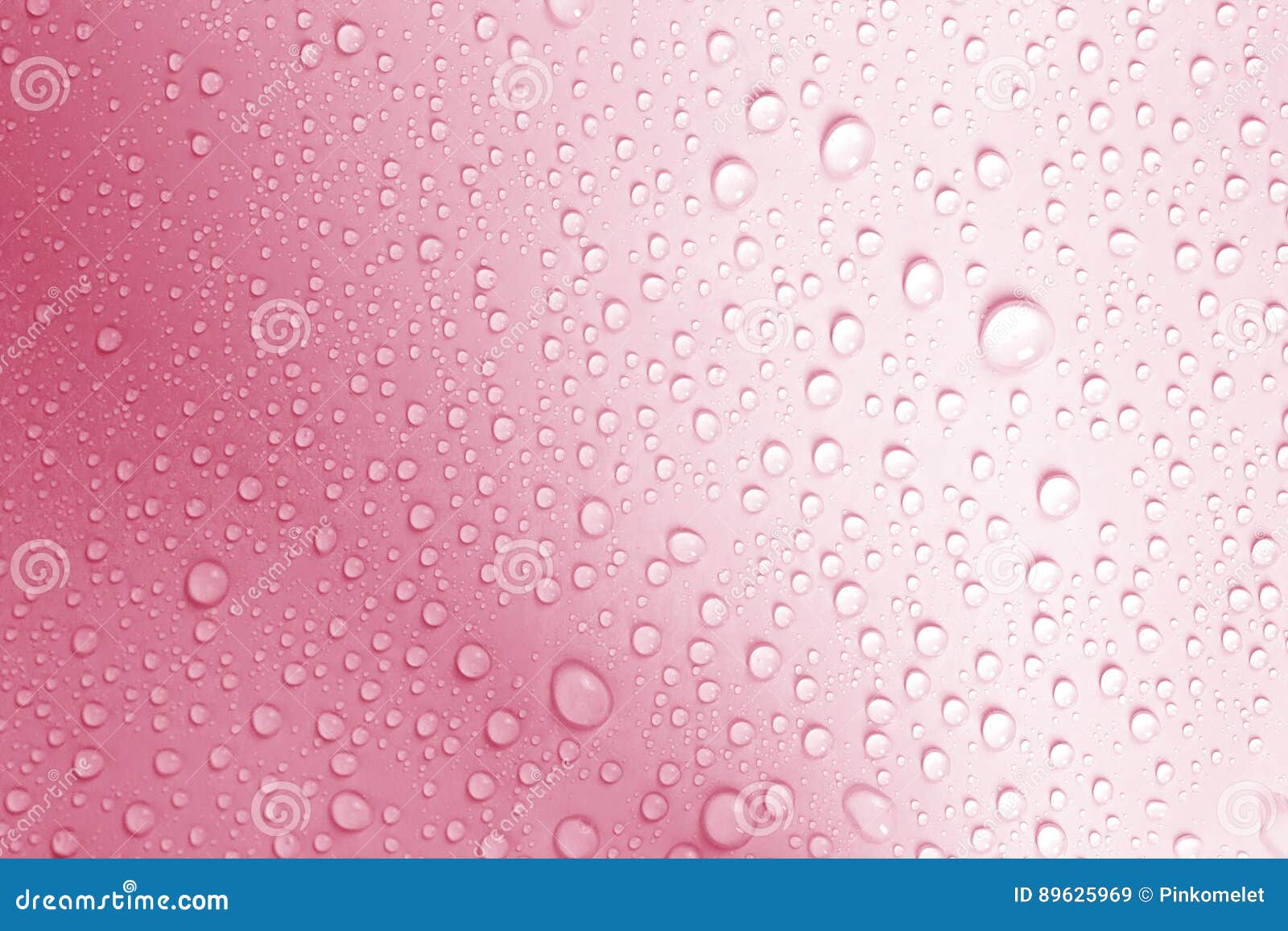 Water Drop on Fresh Light Pink Background Stock Image - Image of ...