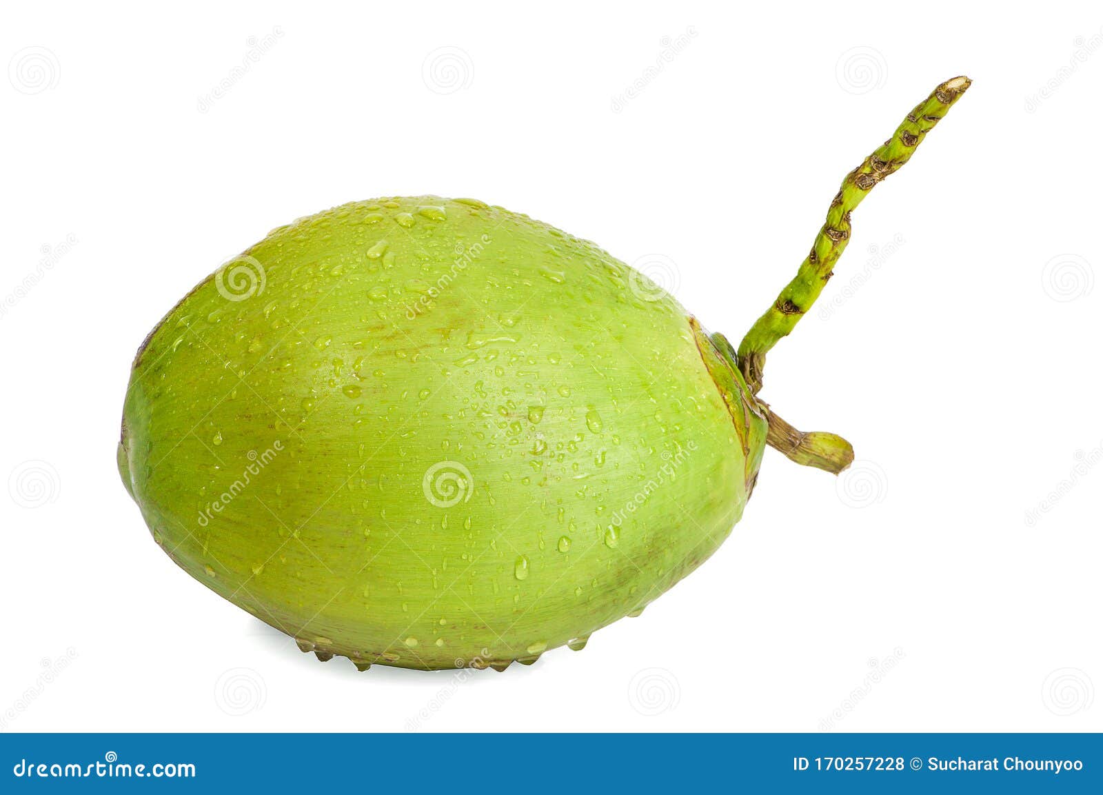 Water Drop Green Coconut an Isolated on White Background Stock Photo ...