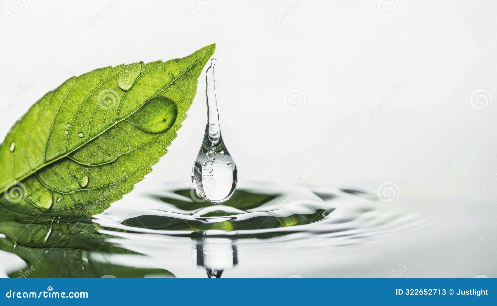 A Water Drop Inside a Leaf Representing the Importance of Water ...