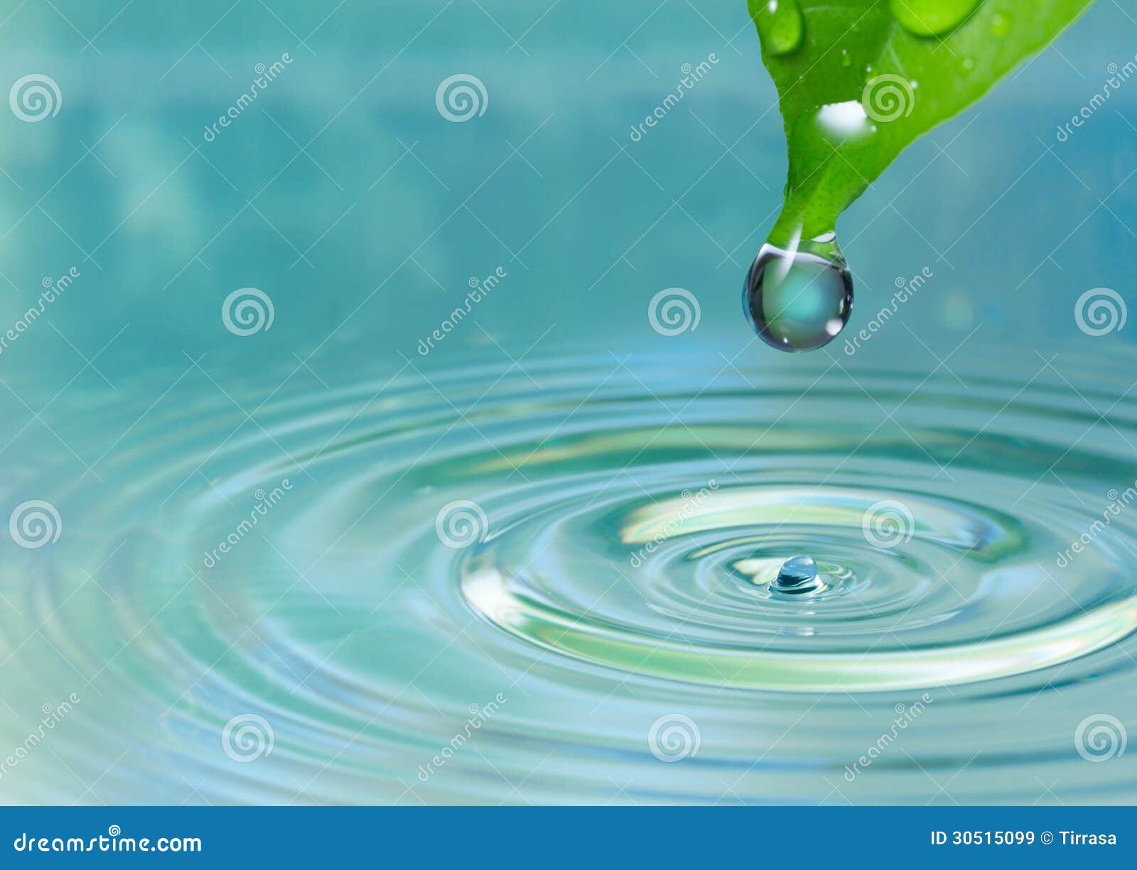 Water drop on leaf stock image. Image of design, closeup - 30515099