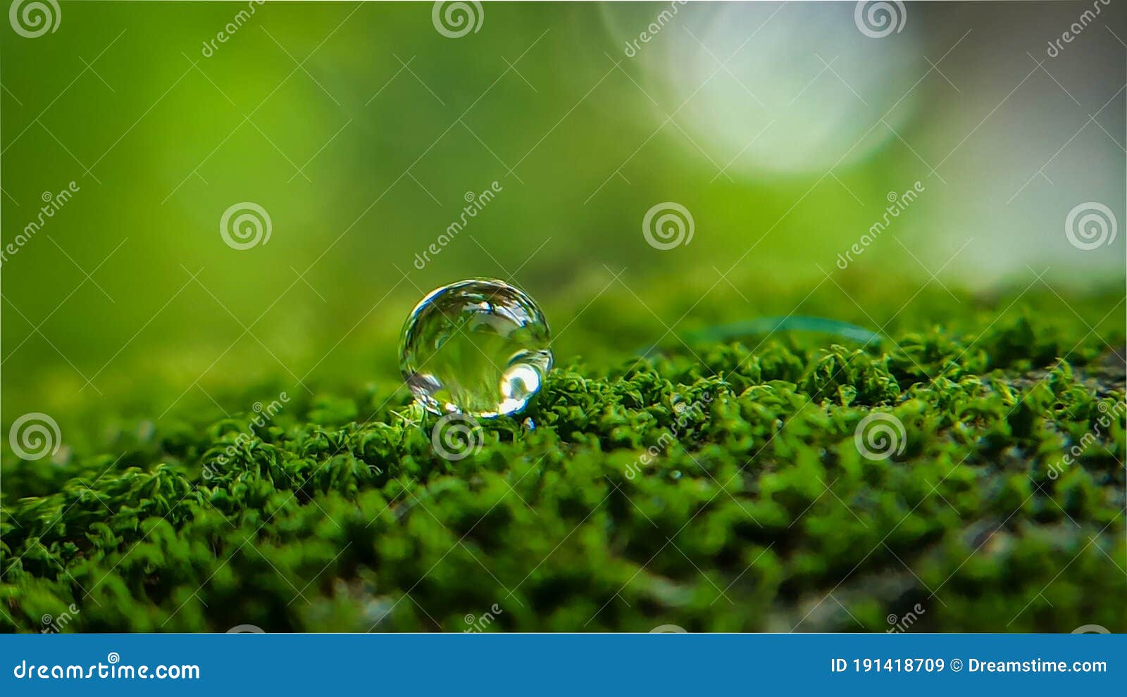 The water drop let stock image. Image of droplet, lett - 191418709