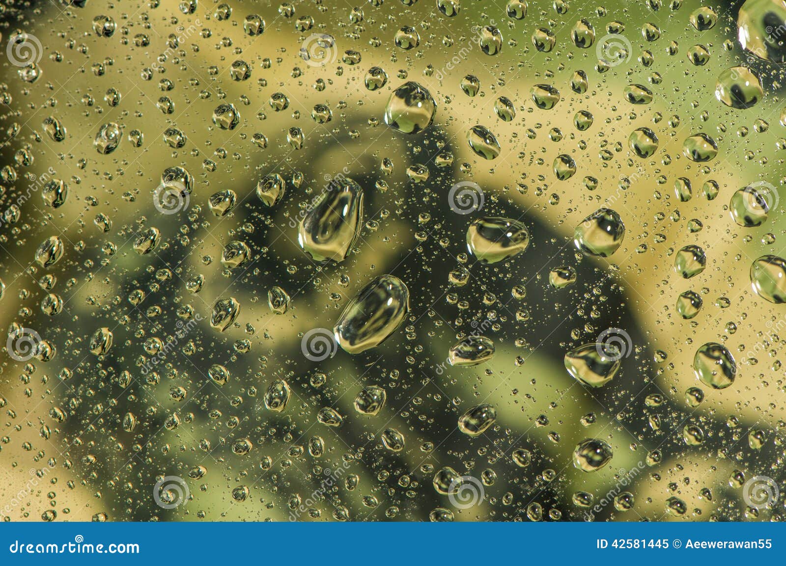 Water drop stock image. Image of green, beautiful, abstract - 42581445