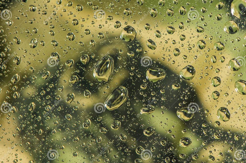 Water drop stock image. Image of green, beautiful, abstract - 42581445